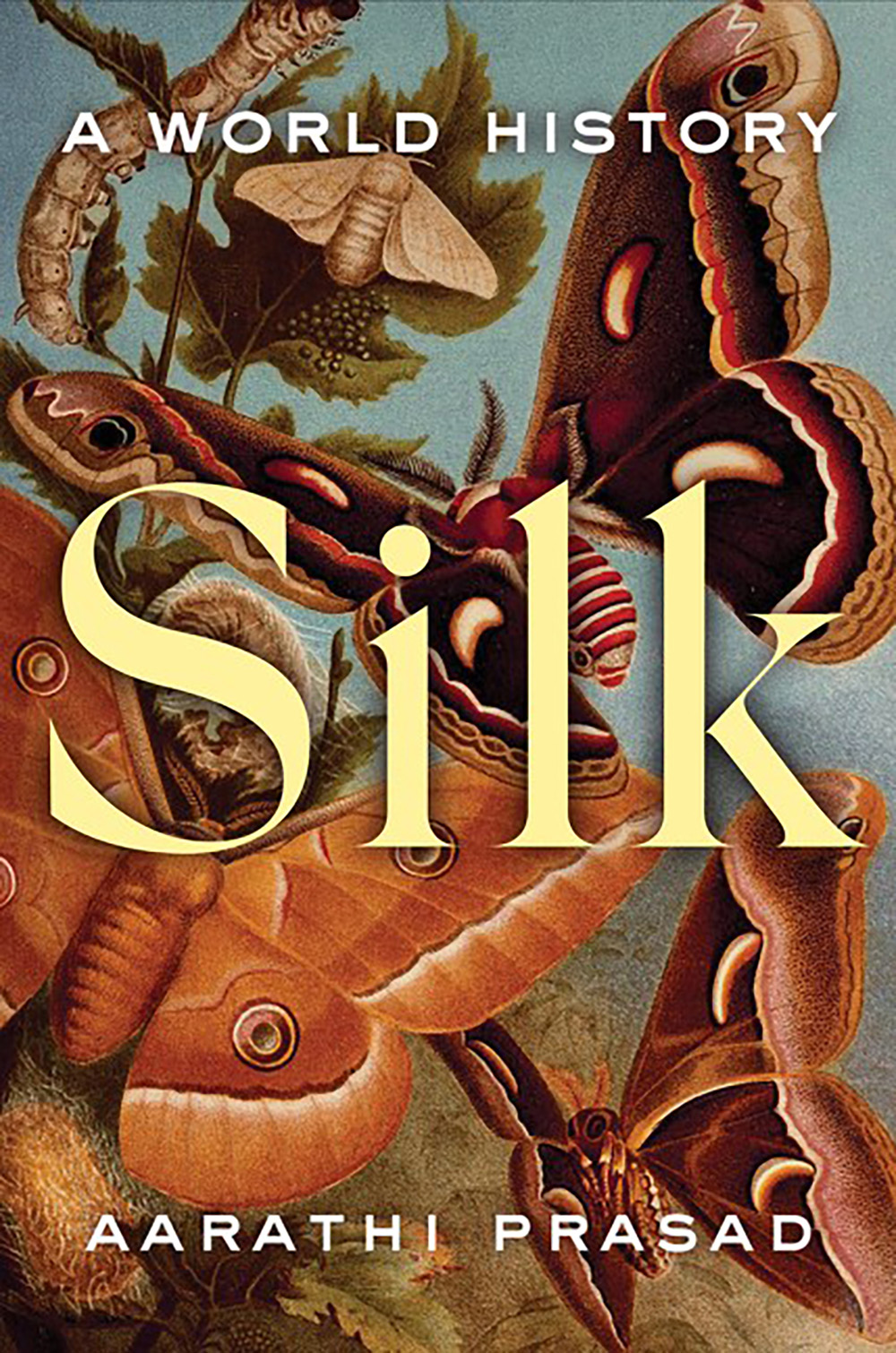 Interview with Aarathi Prasad, author of Silk