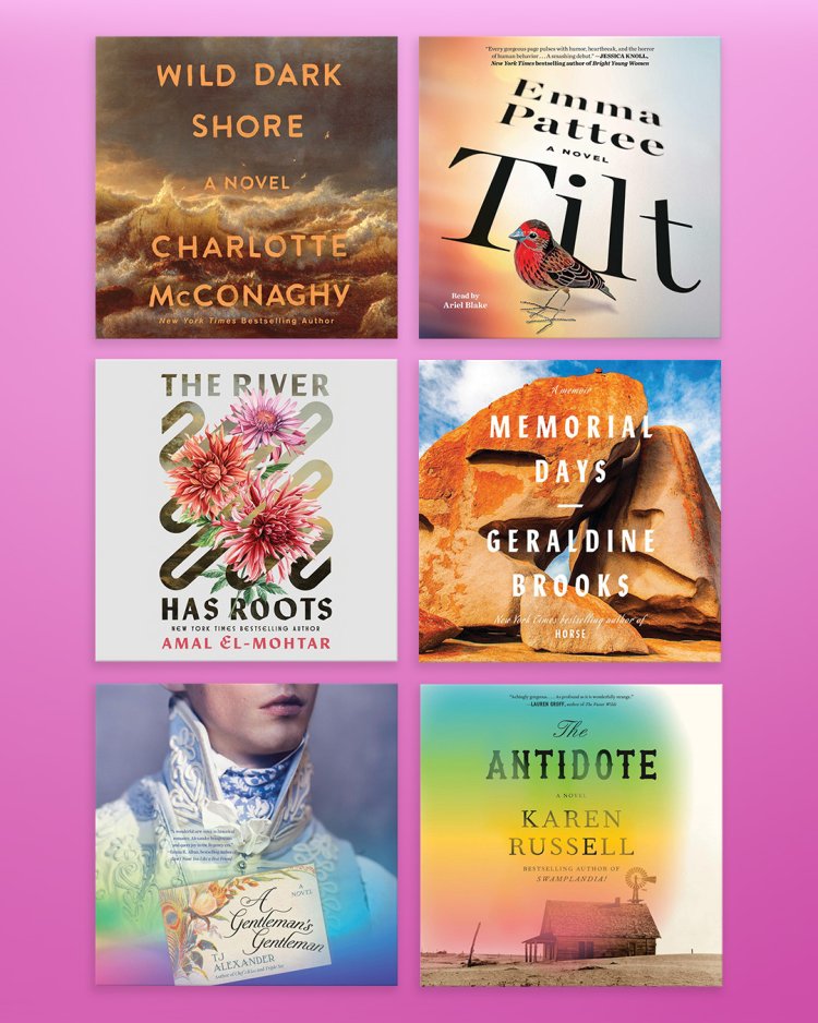 The best audiobooks of 2025—so far