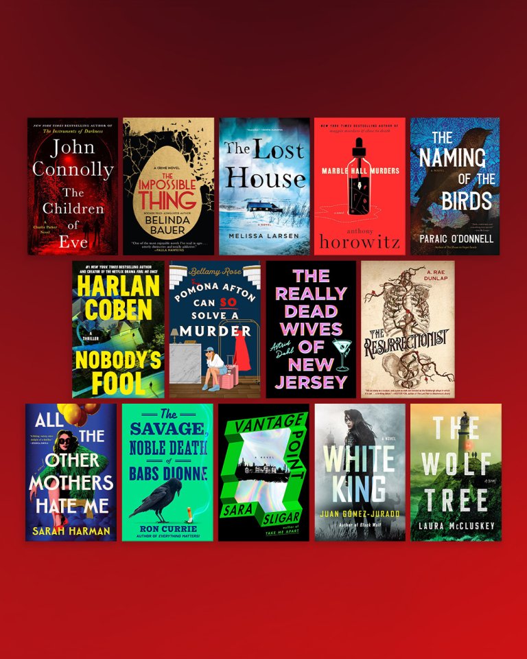 Must-Read Mystery & Thriller Books of 2025 | BookPage