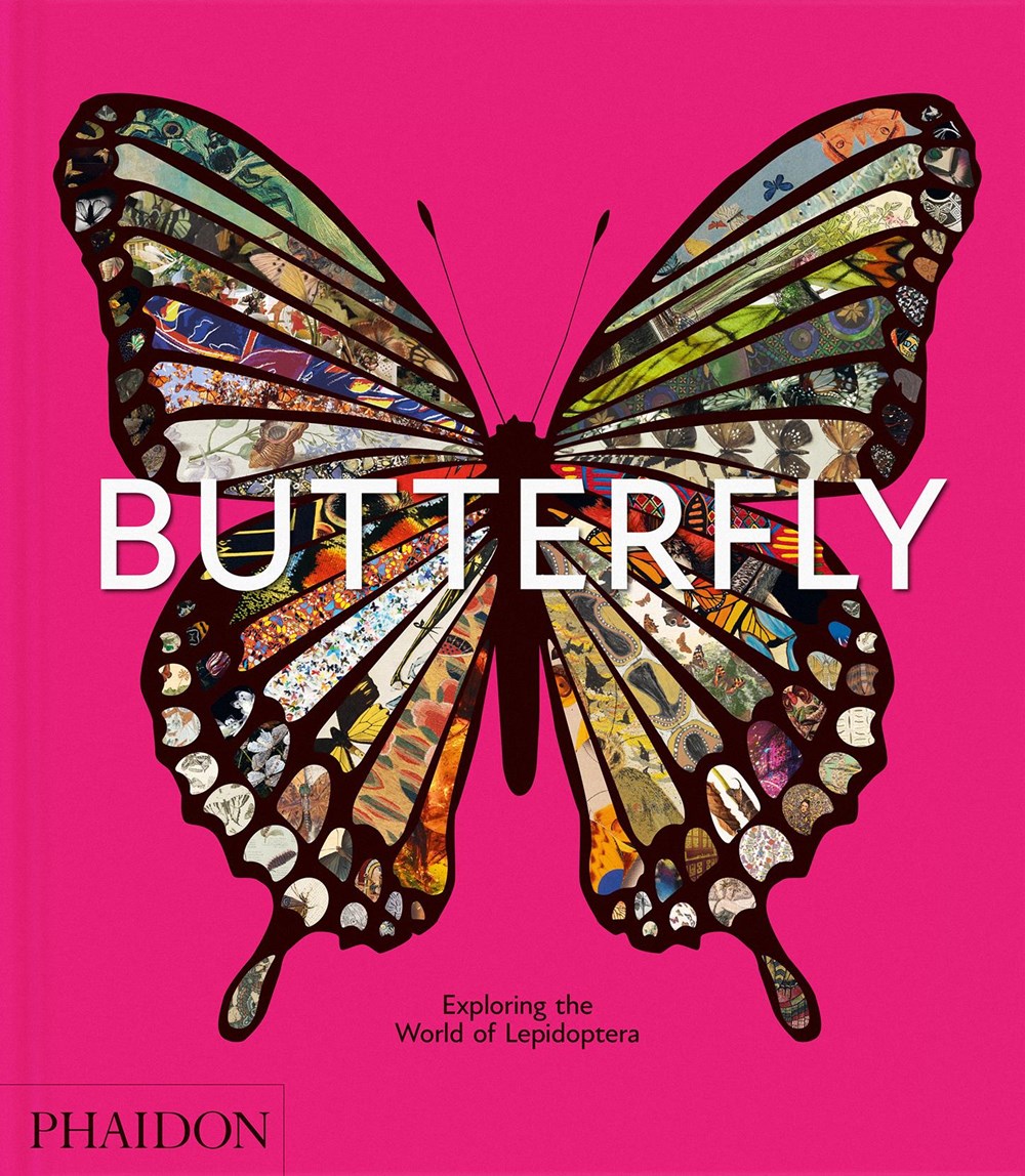 Book review of Butterfly by Phaidon