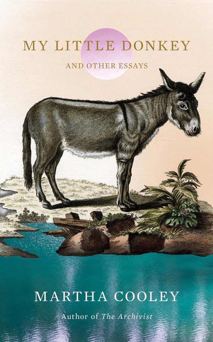 Book review of My Little Donkey by Martha Cooley