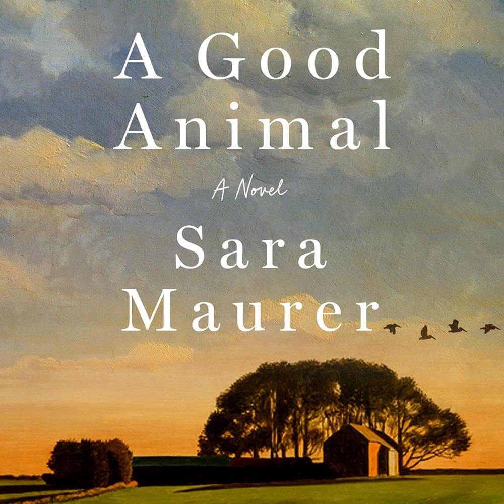 Audibook review of A Good Animal by Sara Maurer